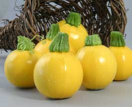 Summer Squash Varieties, Varieties of Summer Squash, Types of Summer Squash
